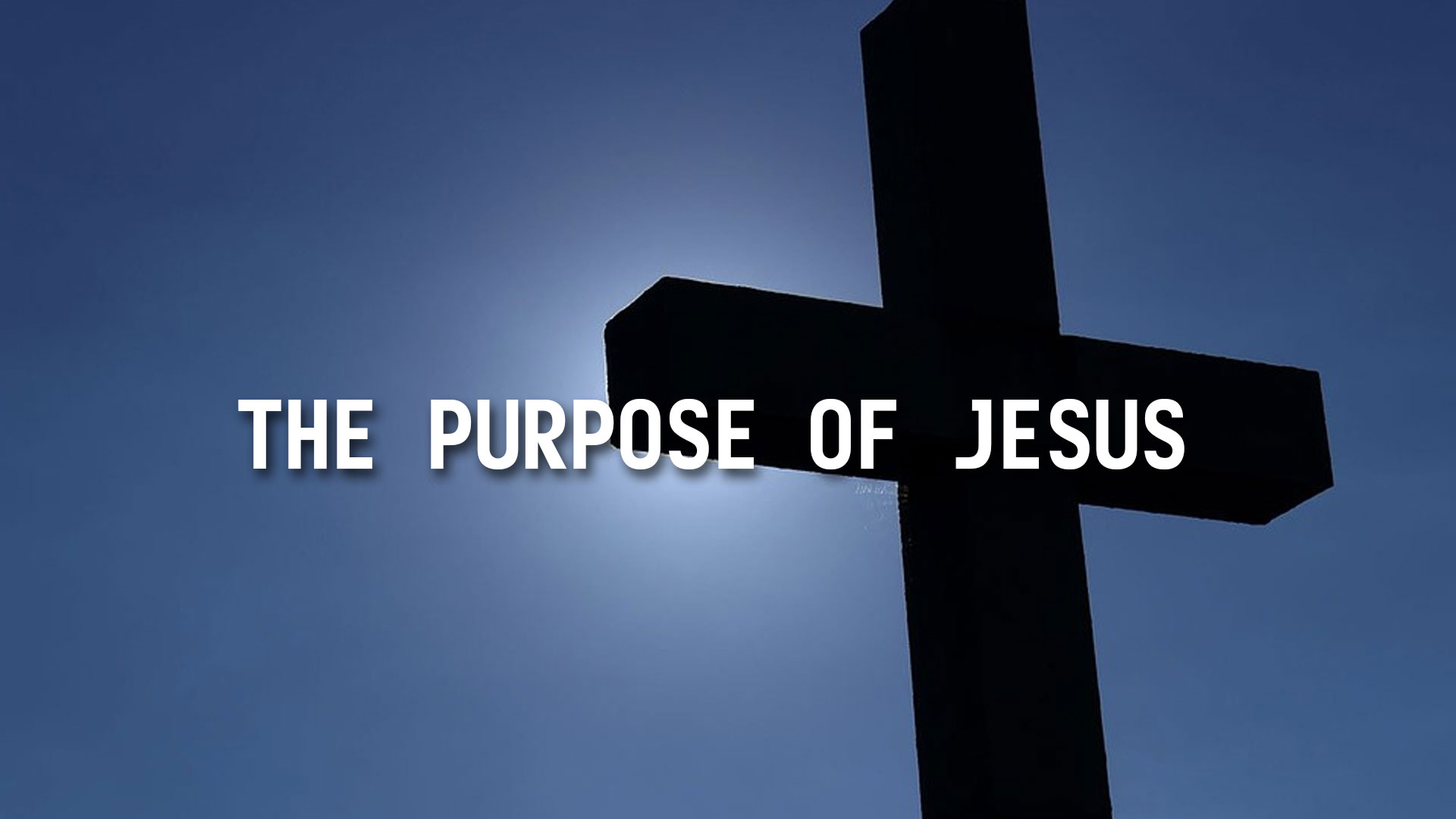 The Purpose of Jesus - Marilyn Taplin